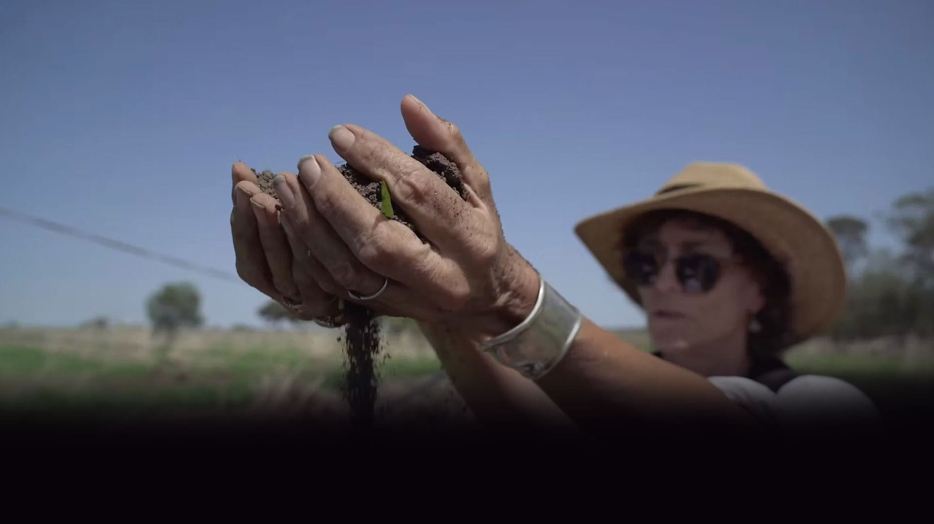 Rachel’s Farm | Shark Island Institute